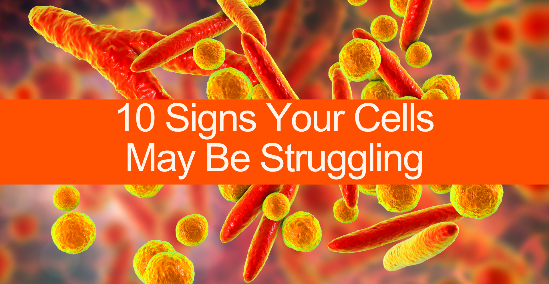 What is Cellular Health & Why It Matters?