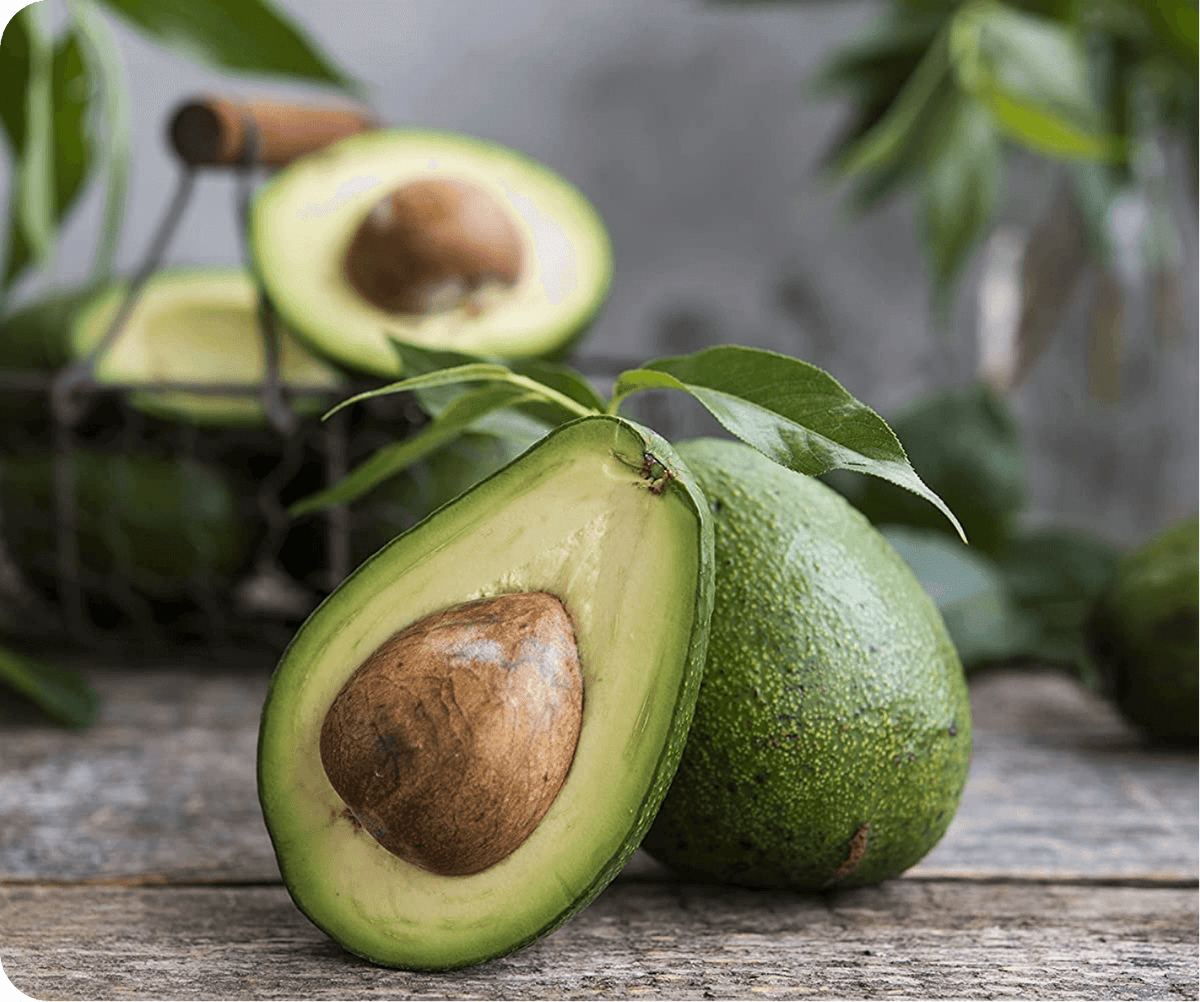 Learn More About AvoB